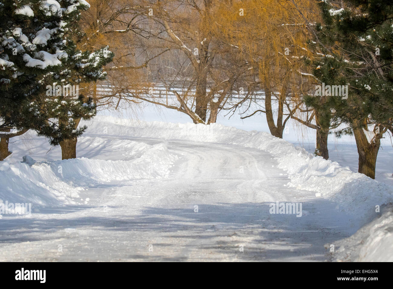 snowy road in rural area in Canada Stock Photo - Alamy