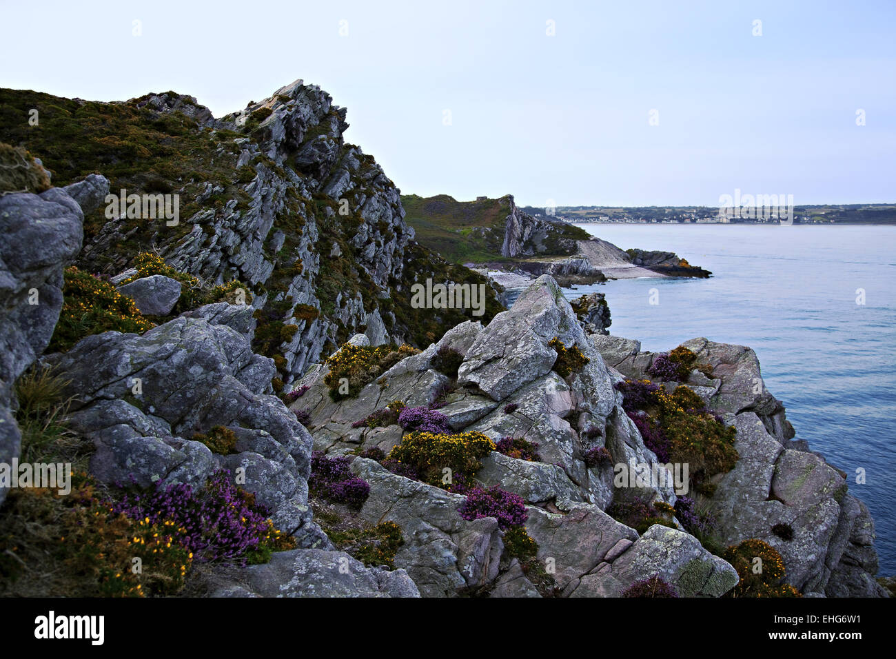 nature reserve Cap Erquy, Brittany, France Stock Photo - Alamy