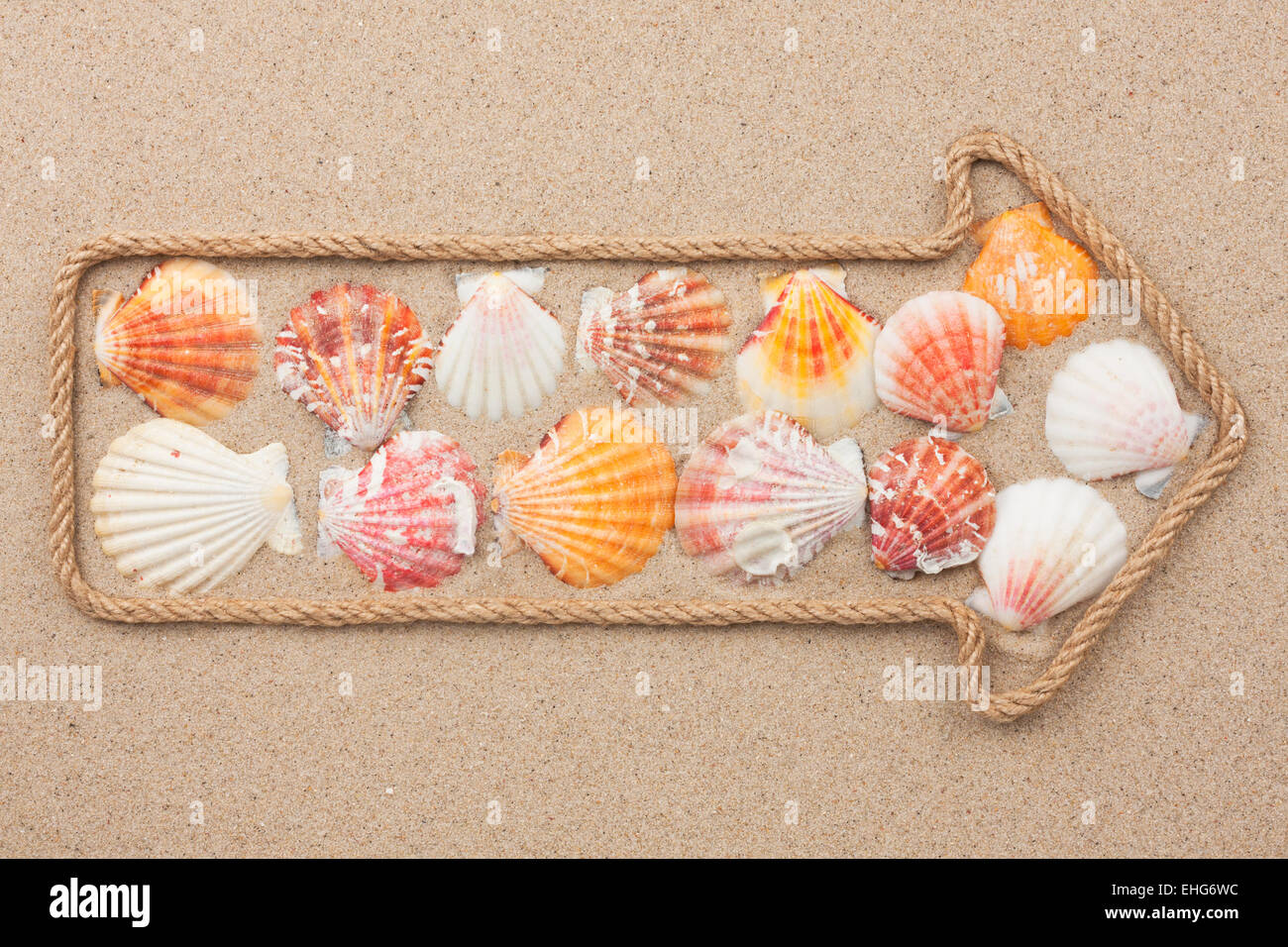 Pointer made of rope with sea shells, lying on the sand Stock Photo - Alamy