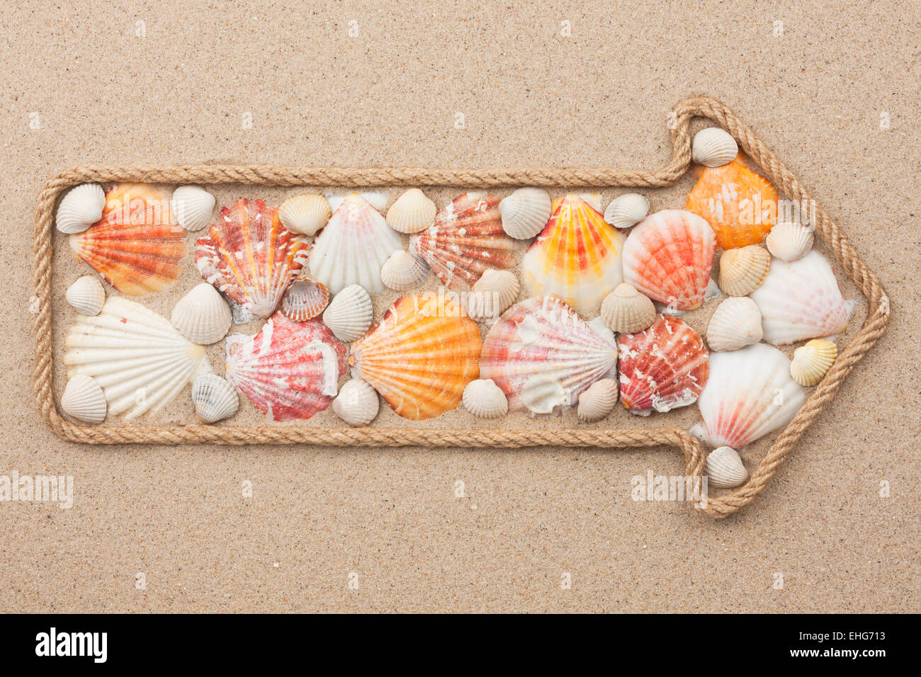 Pointer made of rope with sea shells, lying on the sand Stock Photo - Alamy
