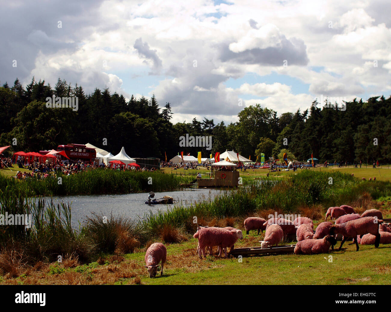 Latitude sheep hi-res stock photography and images - Alamy