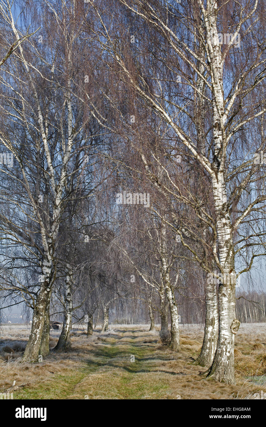 Alley m hi-res stock photography and images - Alamy