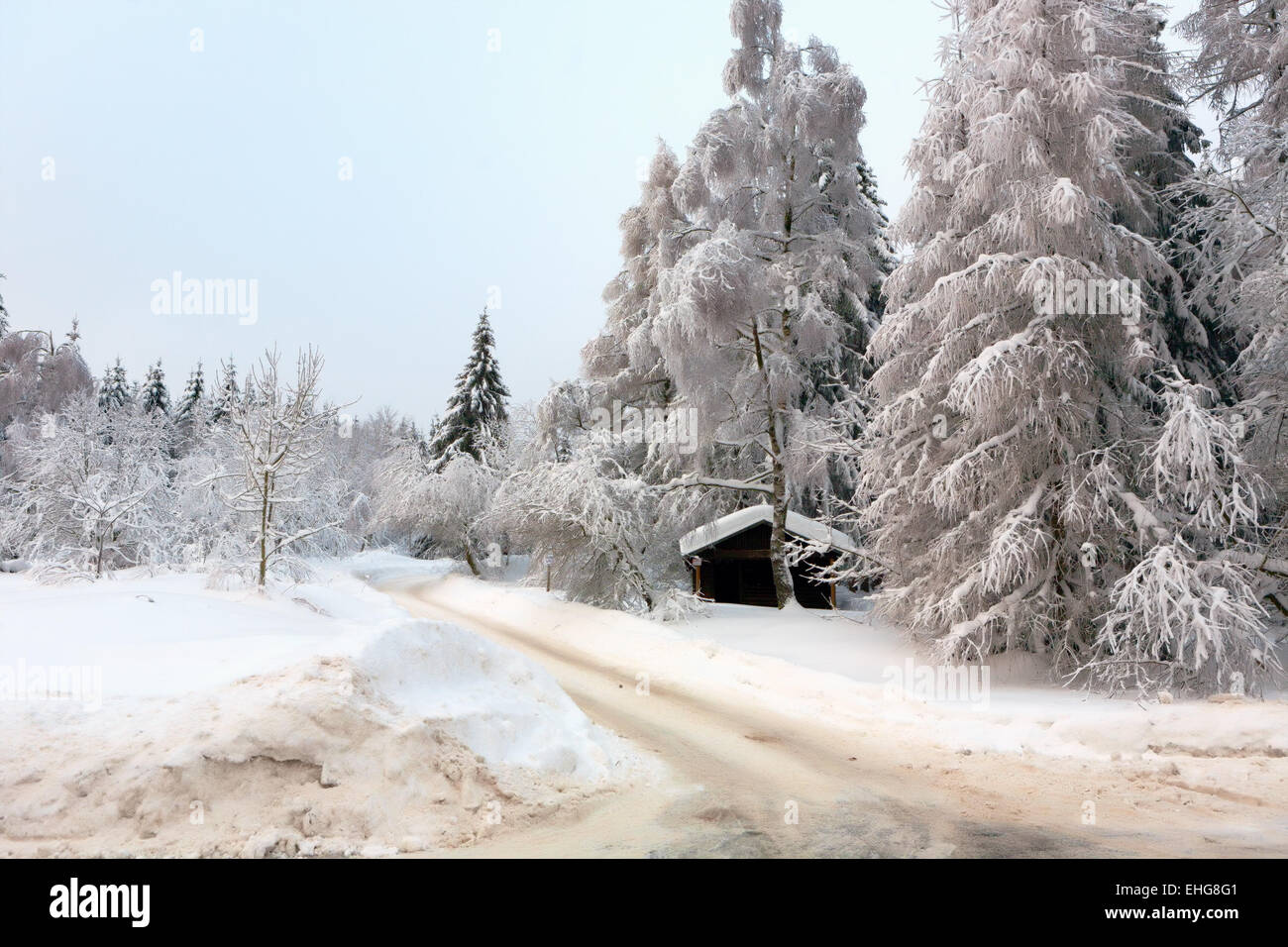 Winter in the german Harz Stock Photo - Alamy