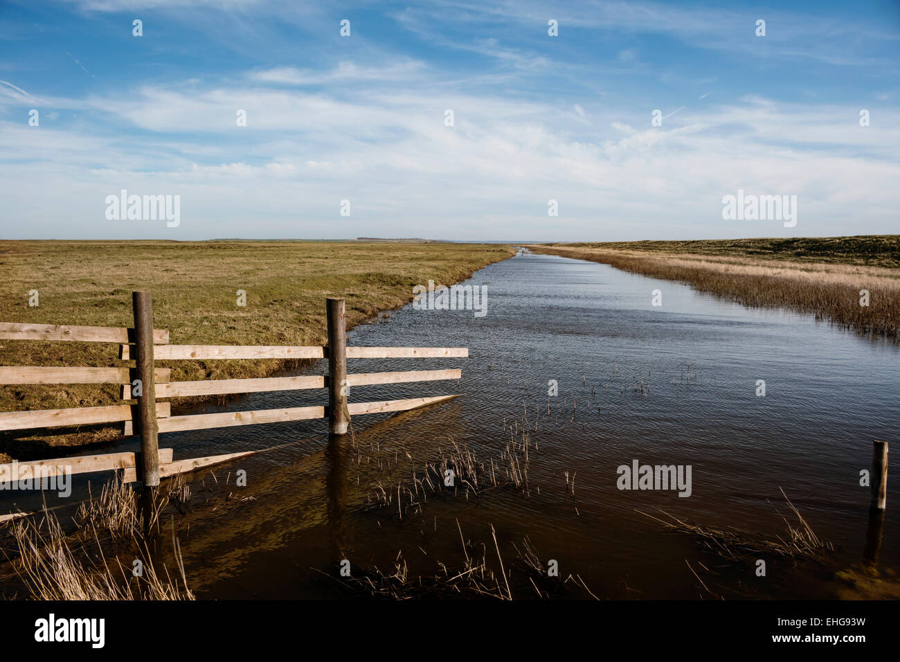 Elmley Nature reserve Stock Photo - Alamy