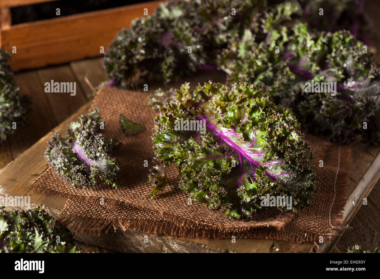 Red leaf kale hi-res stock photography and images - Alamy