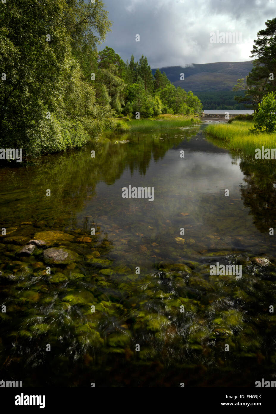 Loch Morlich, Scotland Stock Photo - Alamy