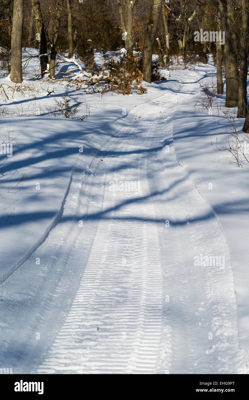 Track forest hi-res stock photography and images - Alamy