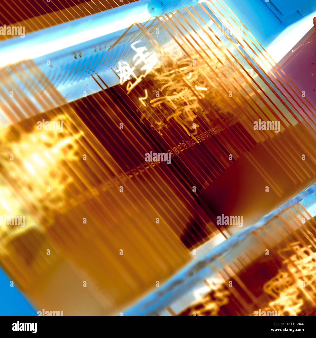 glass microscope slide Stock Photo - Alamy