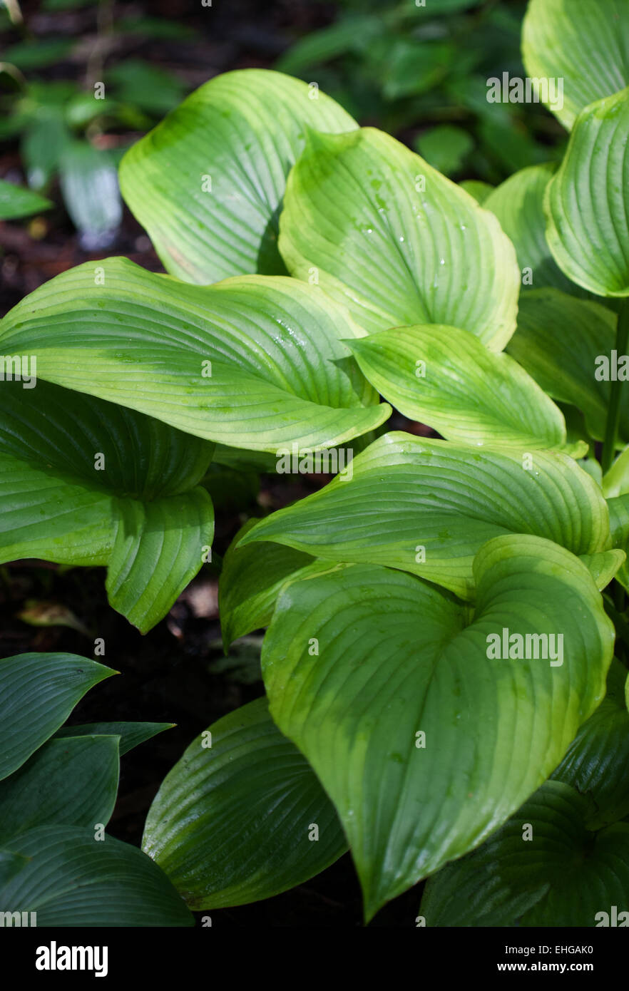 Edges sailing hi-res stock photography and images - Alamy