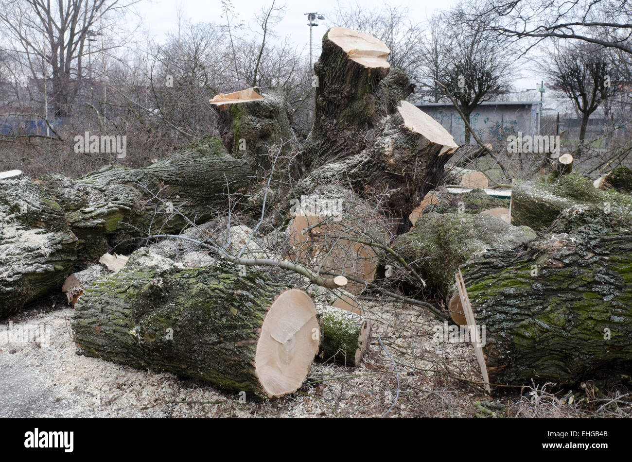 Stub hi-res stock photography and images - Alamy