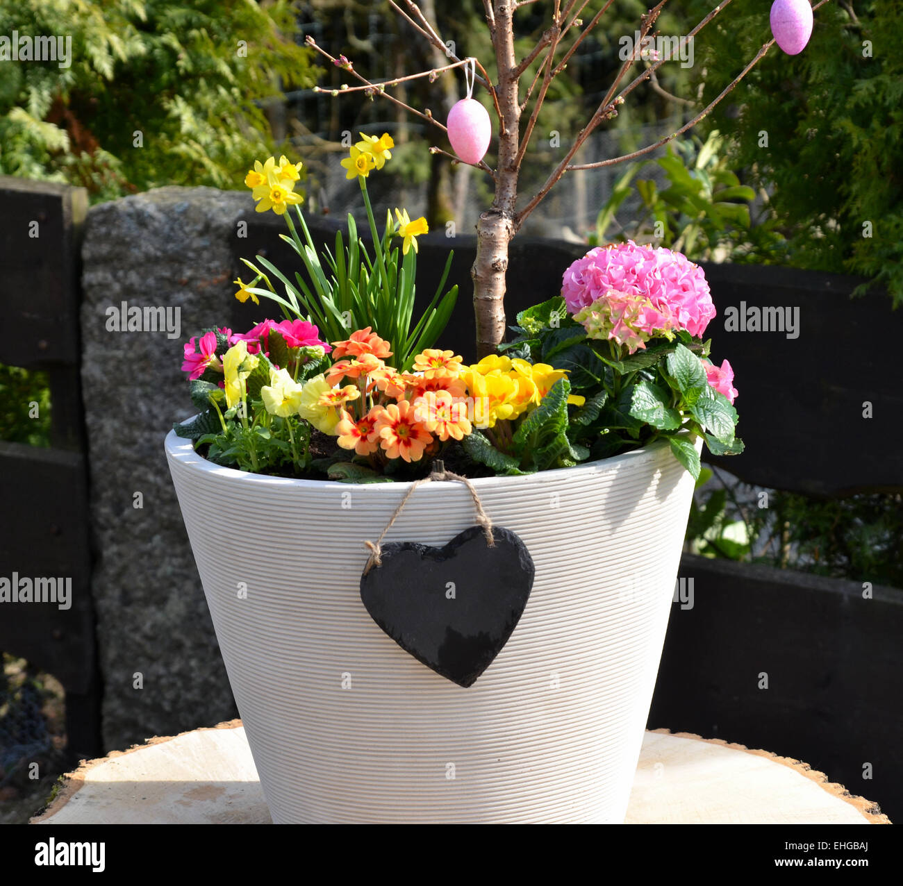 Pitcher with spring flowers hi-res stock photography and images - Alamy