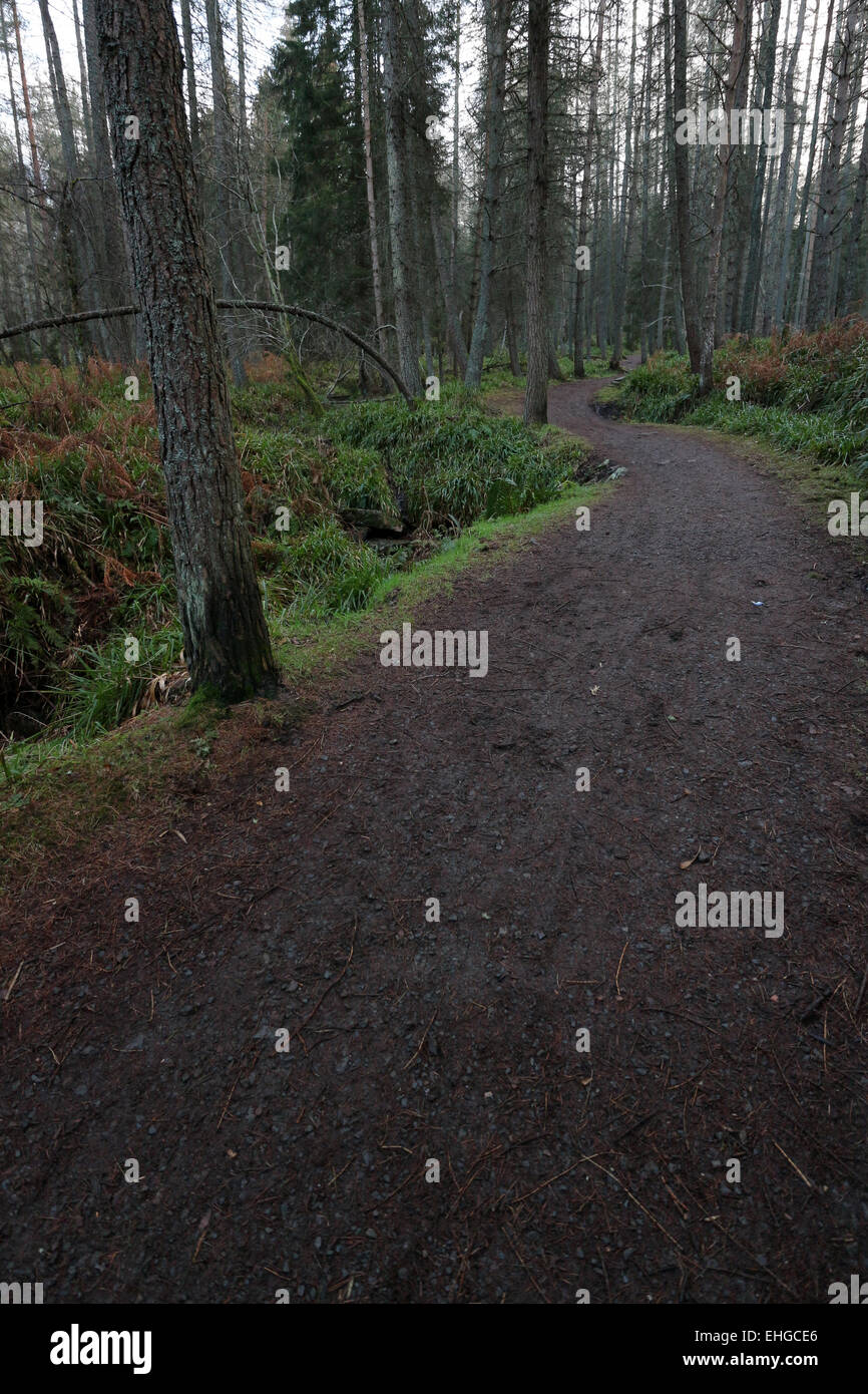 Pitcaple hi-res stock photography and images - Alamy