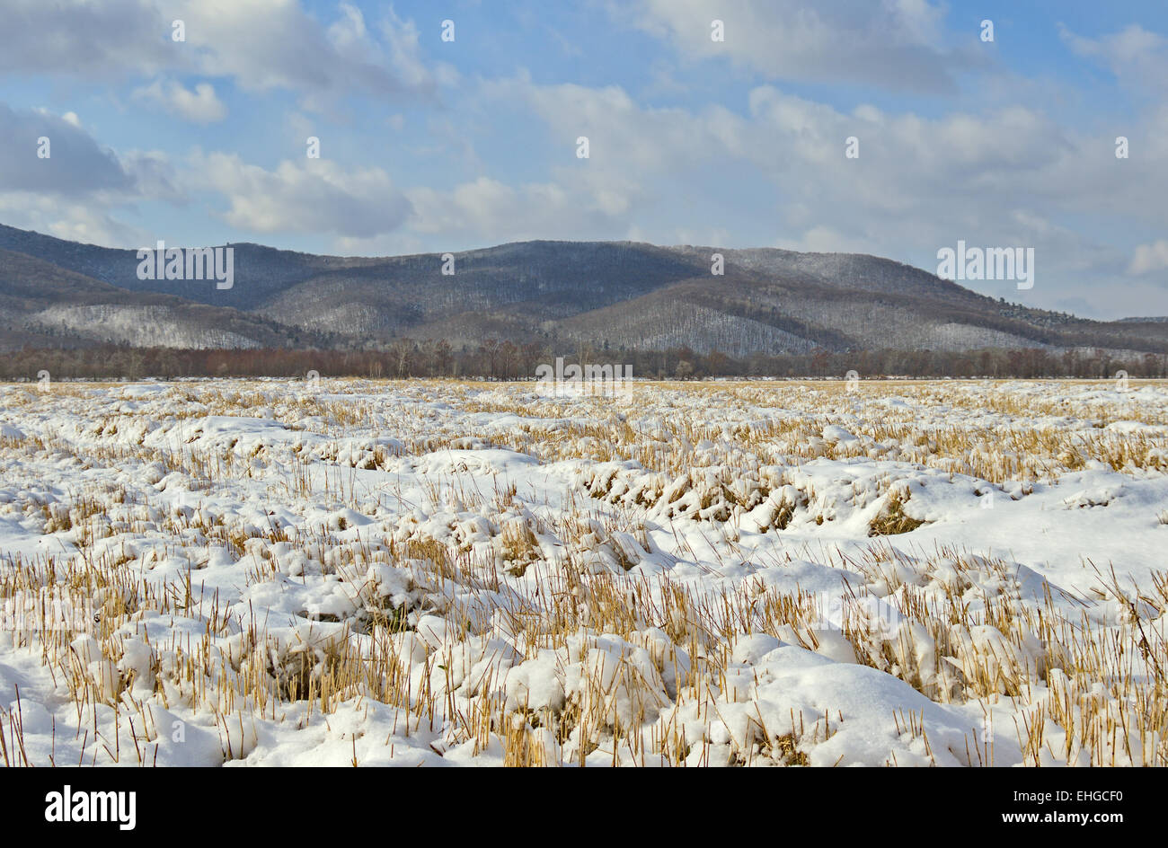 The cleaned fields covered with snow Stock Photo - Alamy