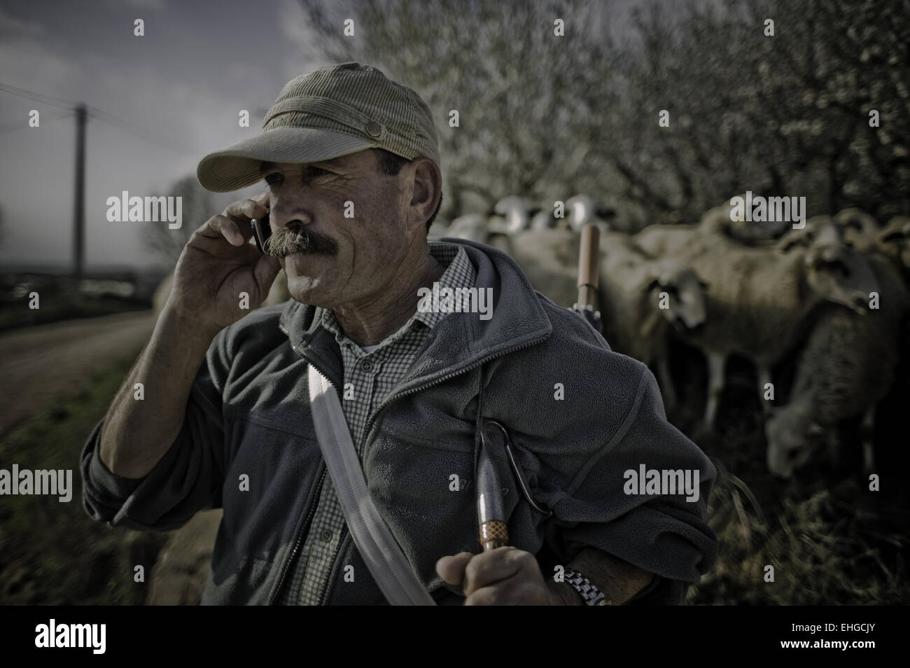 Modern shepherd hi-res stock photography and images - Alamy