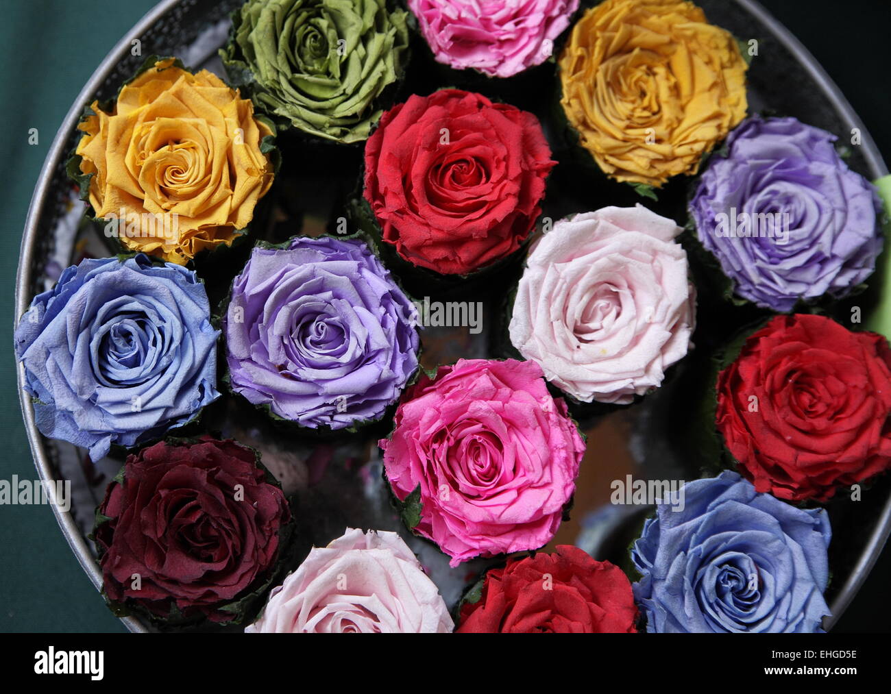 Viele farben rosen hi-res stock photography and images - Alamy