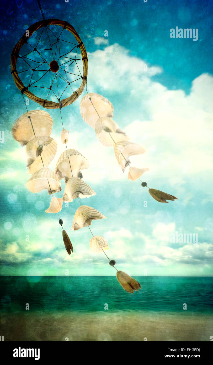 Shells blowing in the wind at sea shore Stock Photo - Alamy