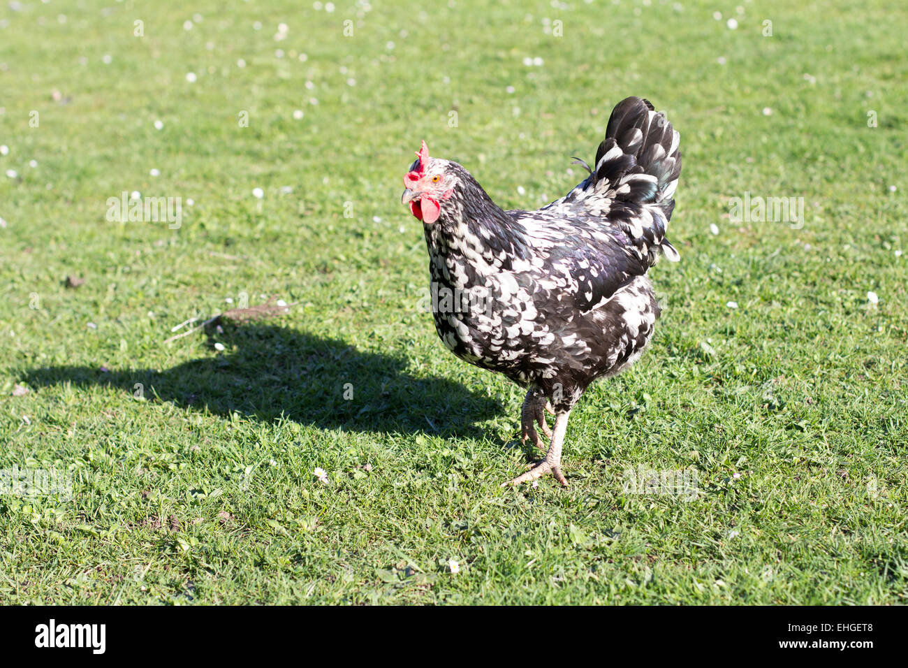 Hen do spain hi-res stock photography and images - Alamy