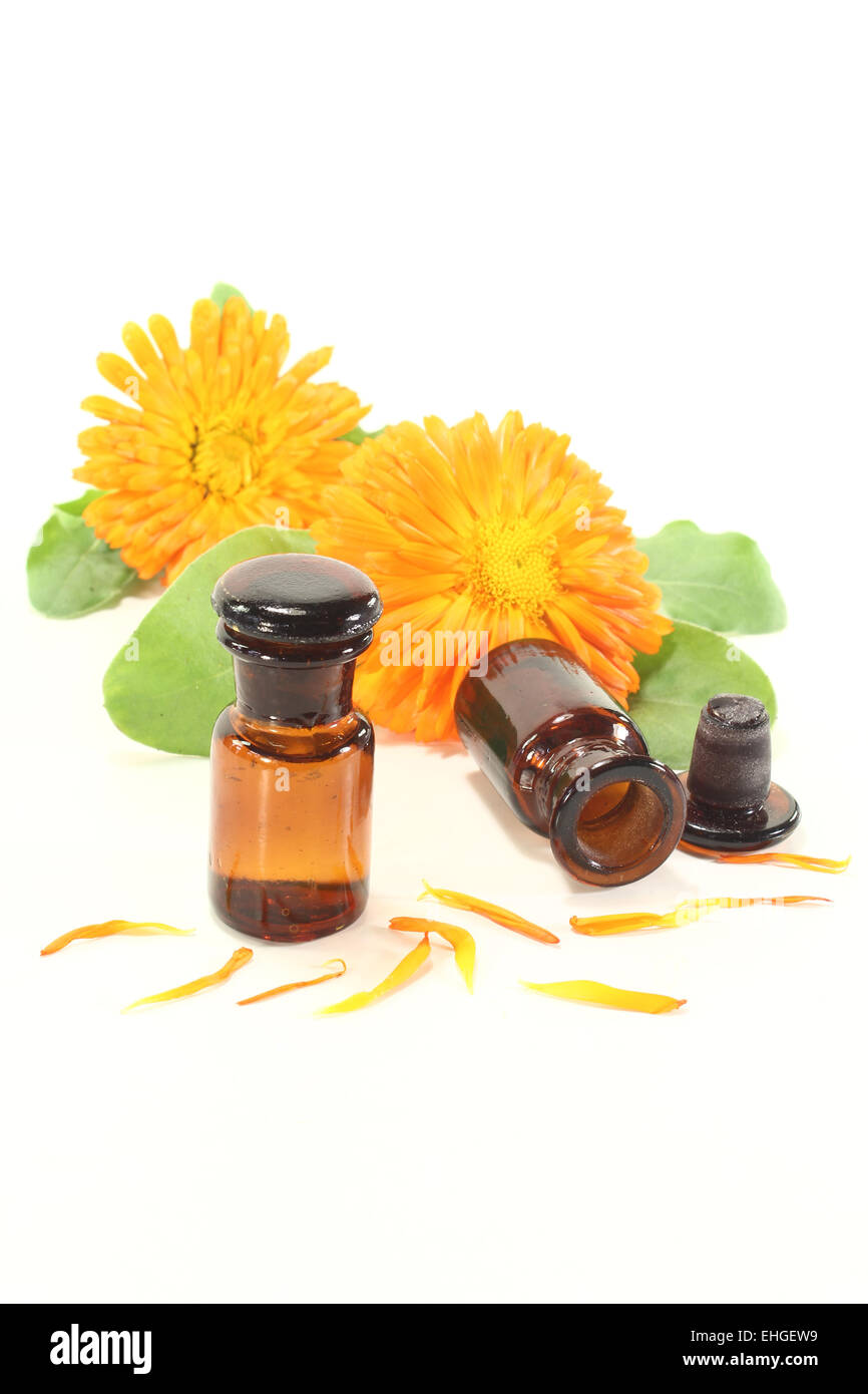 Fresh herbal calendula flowers Cut Out Stock Images & Pictures - Alamy