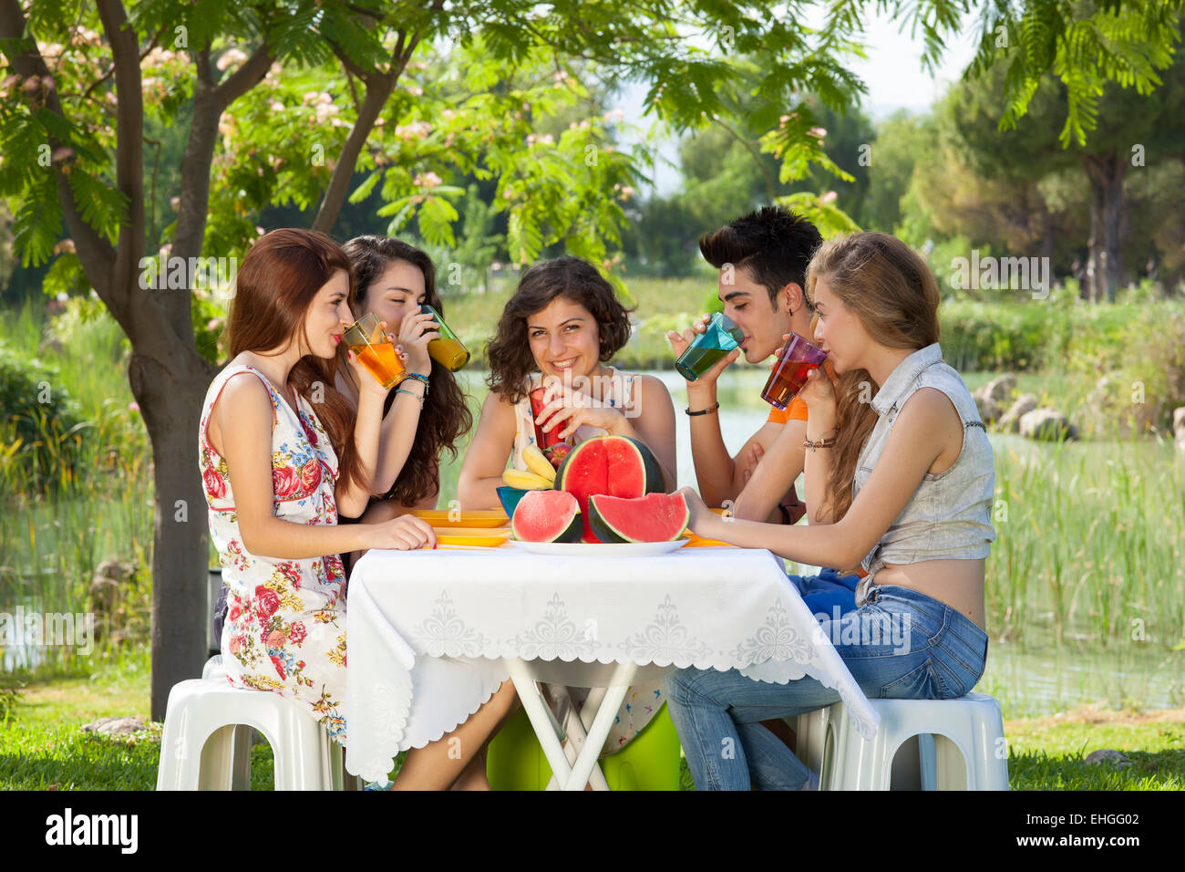 Relaxing at the park. Relaxing at the park with friends and a picnic ...