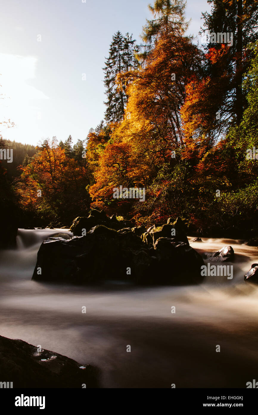 Long Exposure of a river with Autumn leaves Stock Photo - Alamy