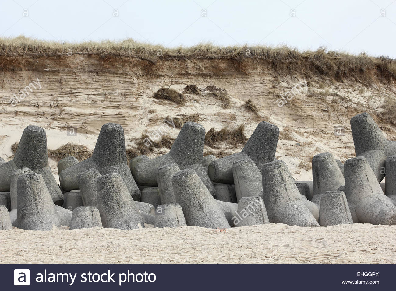 Tetrapod Structure Stock Photos & Tetrapod Structure Stock Images - Alamy