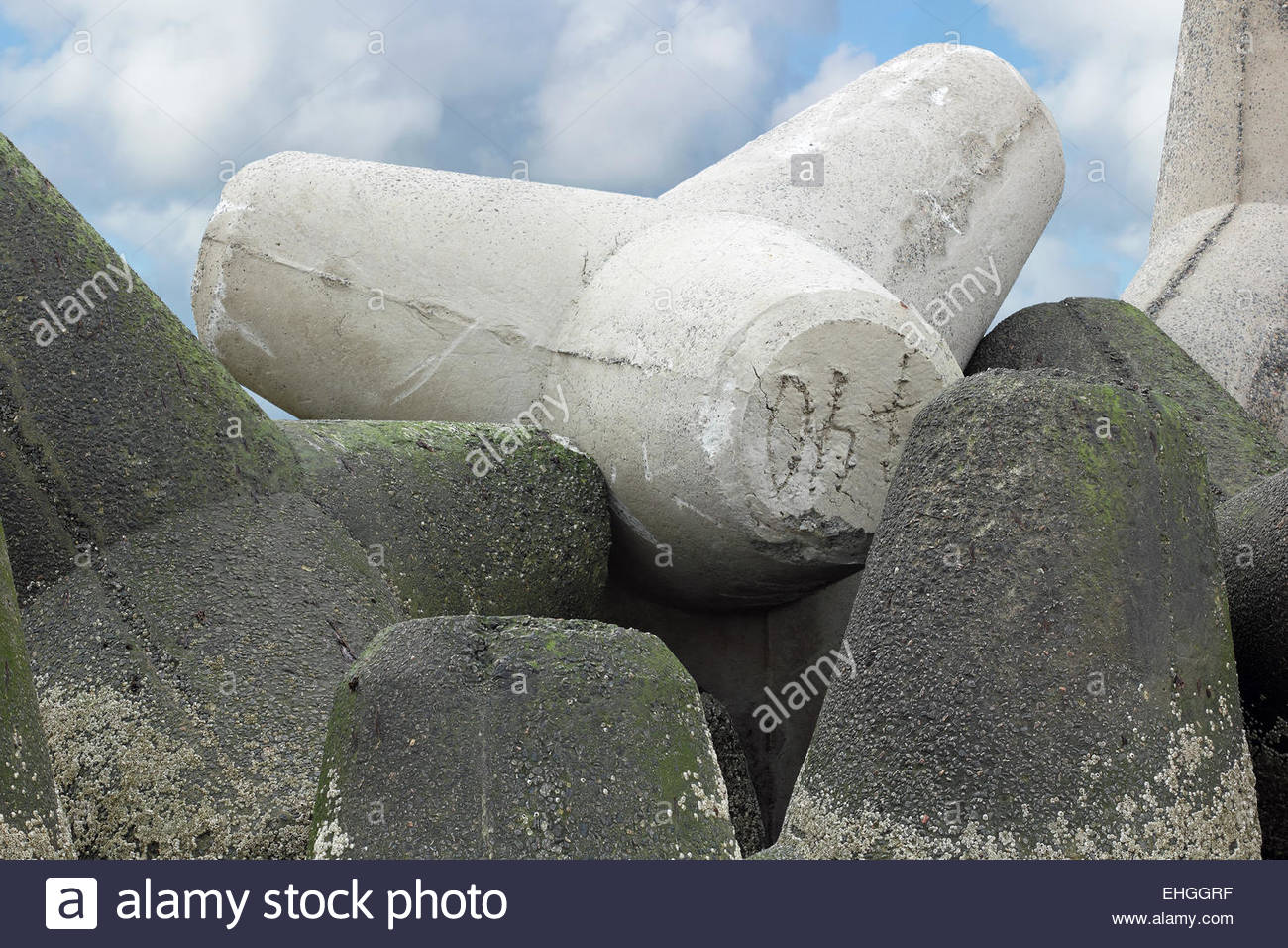 Tetrapod Structure Stock Photos & Tetrapod Structure Stock Images - Alamy