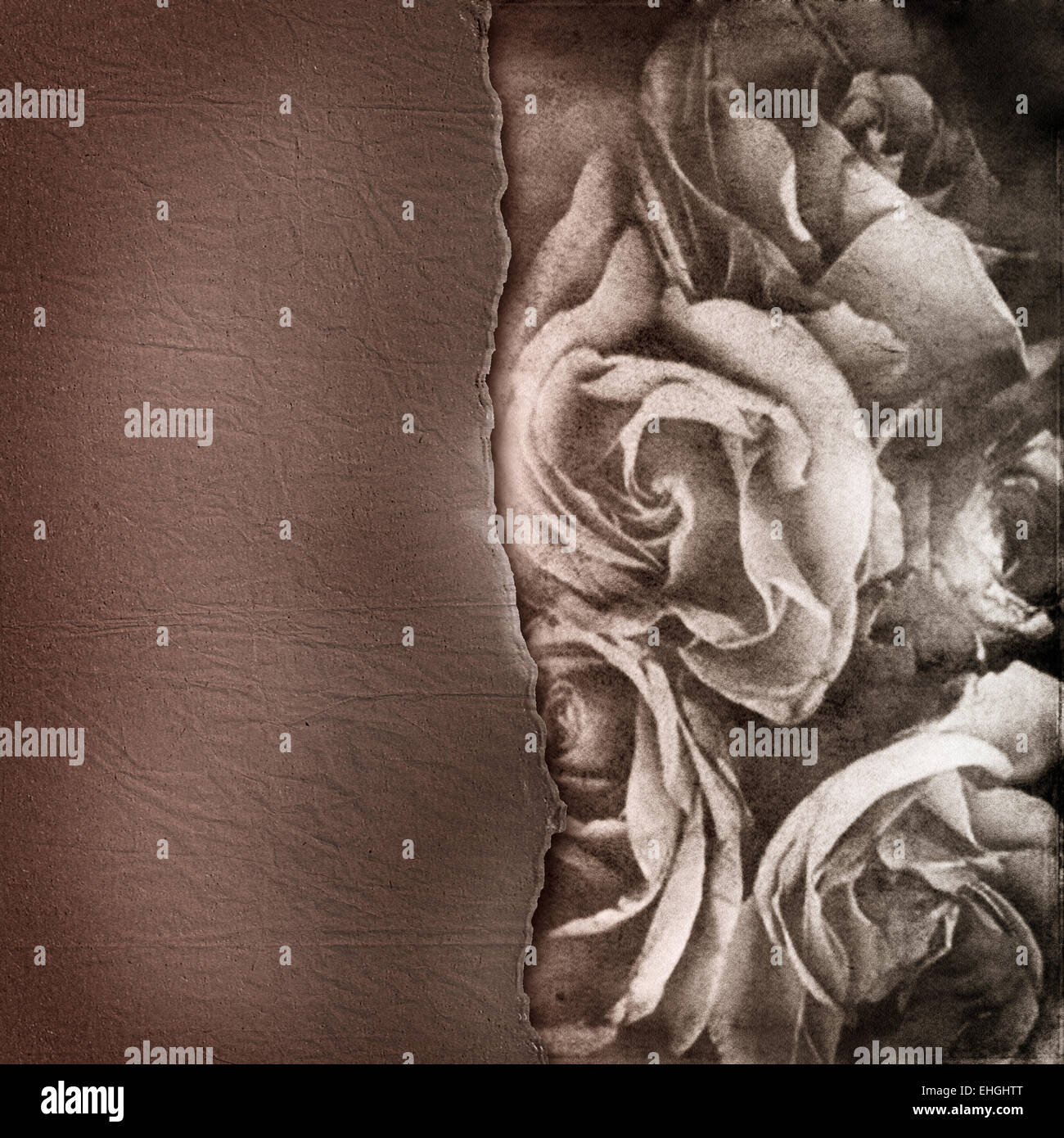 Grunge Rose Background 7,193 Abstract Roses Stock Photos, High Res