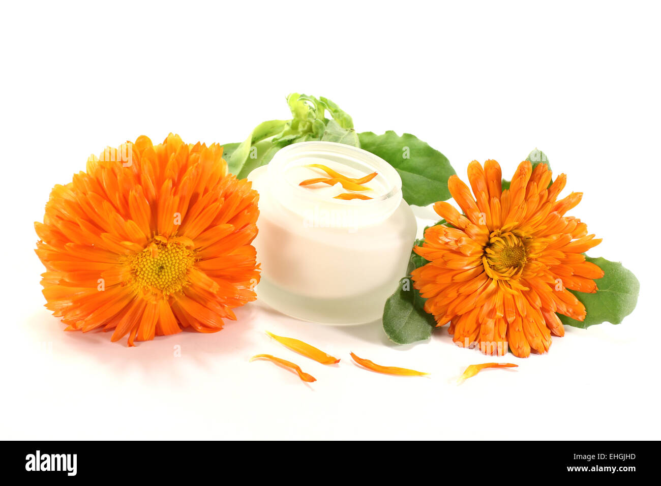 Marigold cream Cut Out Stock Images & Pictures - Alamy