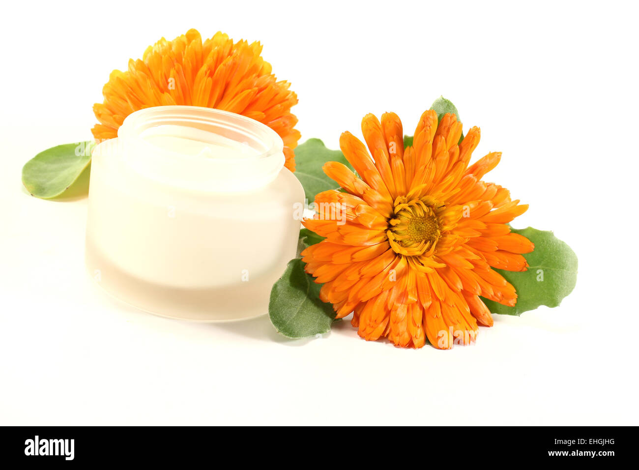 Marigold cream hi-res stock photography and images - Alamy