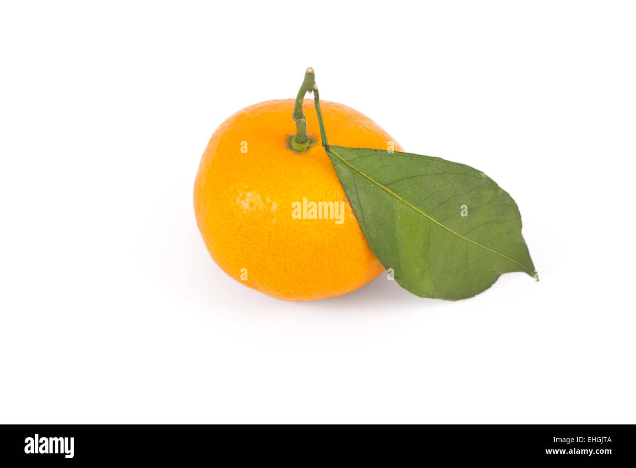 Frash tangerine on stem with green leaves isolated on white Stock Photo ...