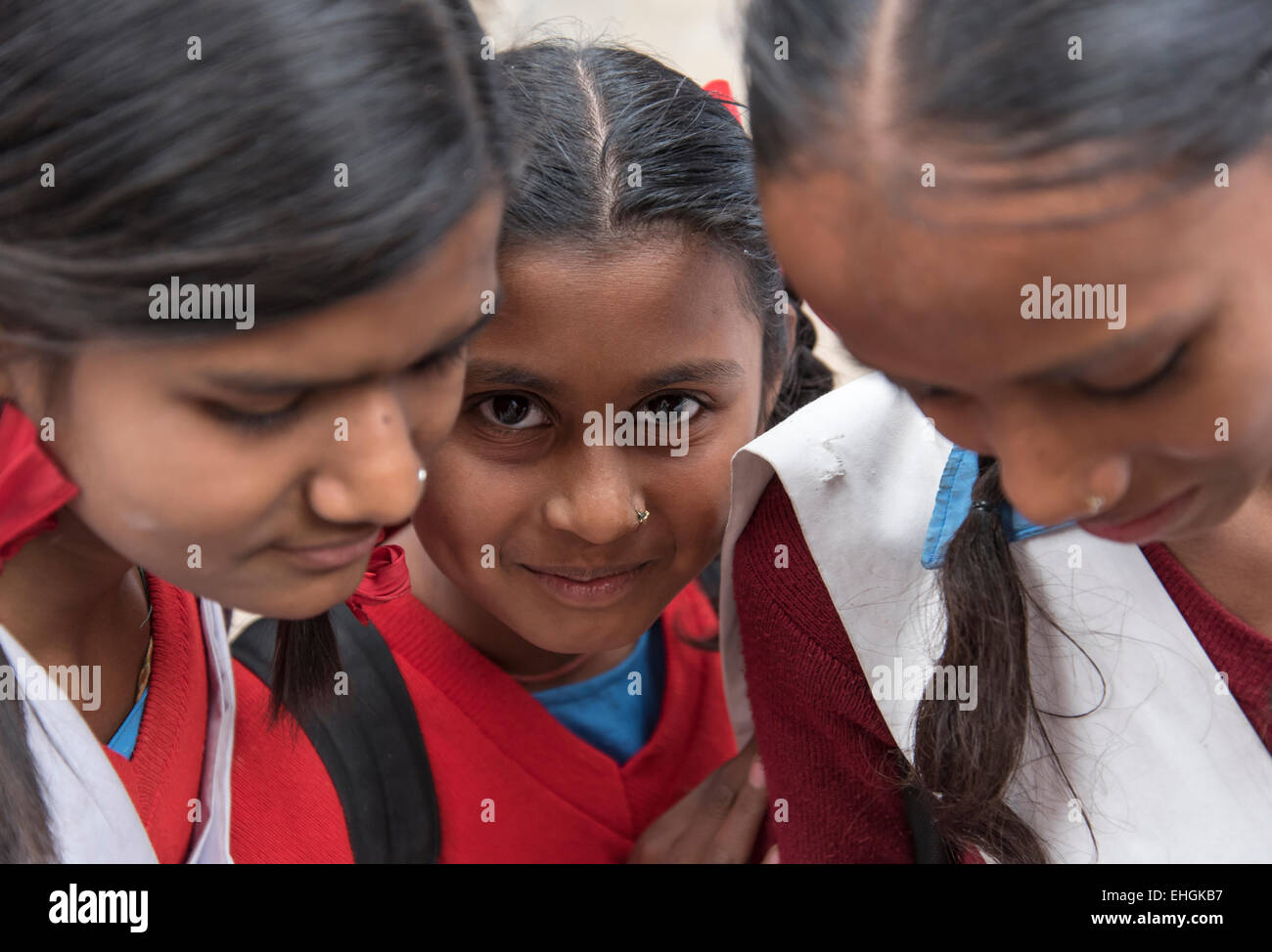 School-girls, Jodhpur, Rajasthan, India Stock Photo - Alamy