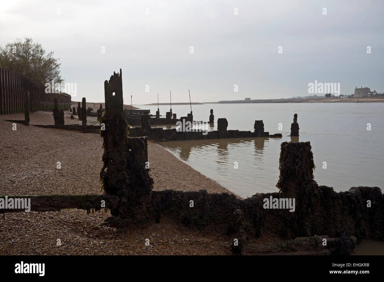 Wooden groynes river Deben Bawdsey Ferry Suffolk UK Stock Photo - Alamy