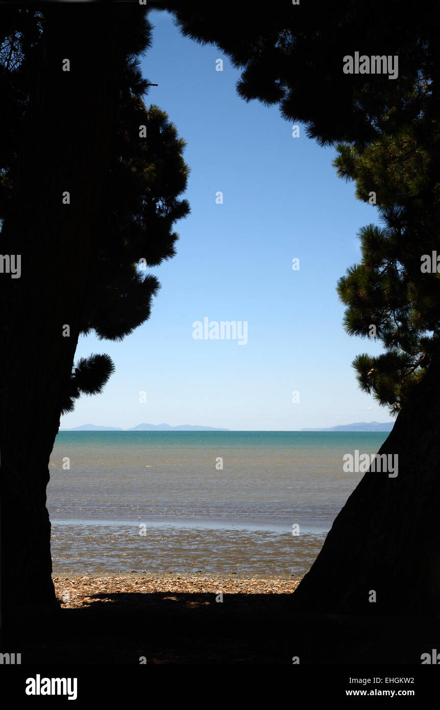 Pine trees frame a summer's day at Ruby Bay picnic area near Nelson in ...