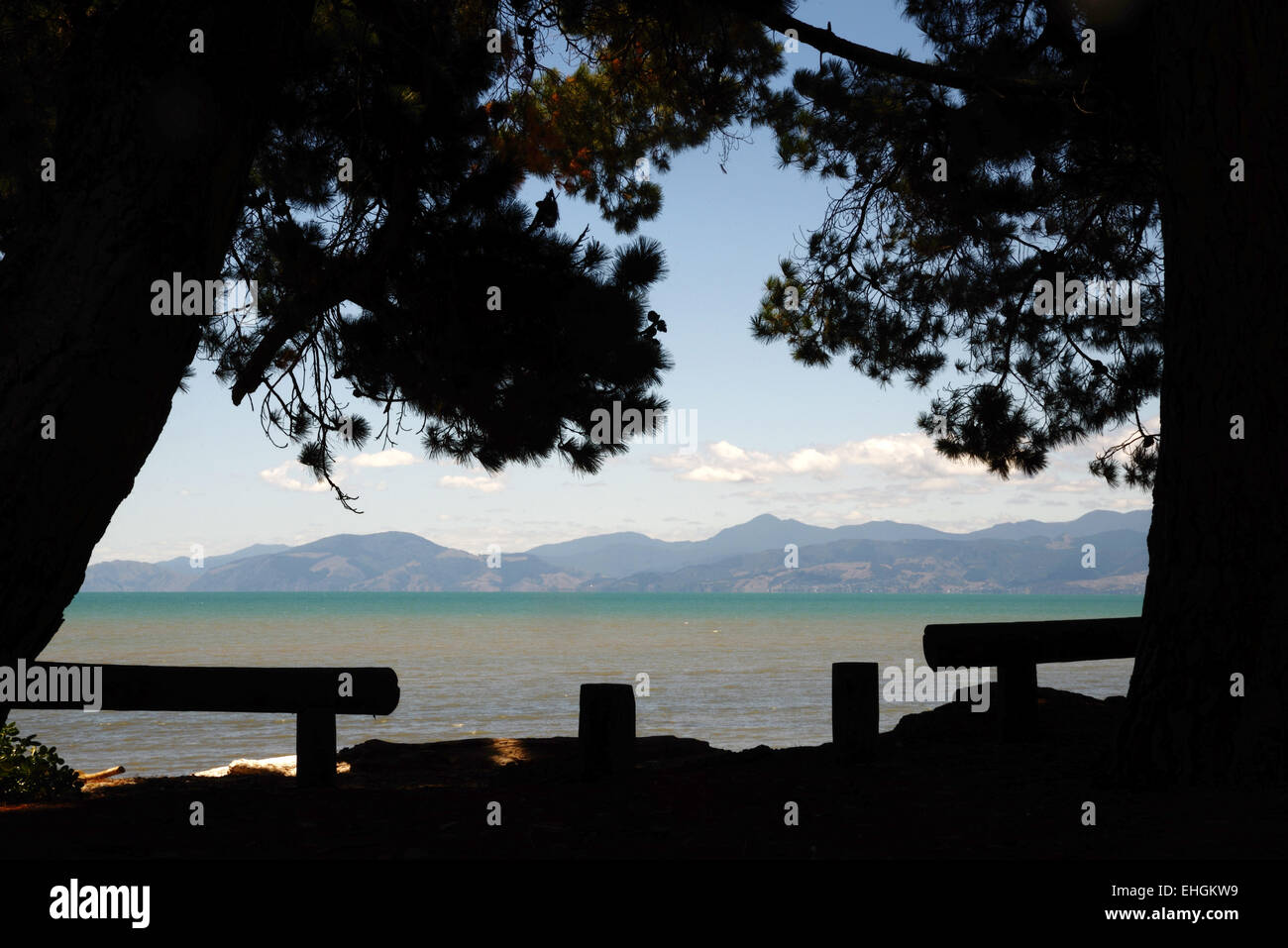 frame a summer's day at Ruby Bay picnic area near Nelson in the South ...