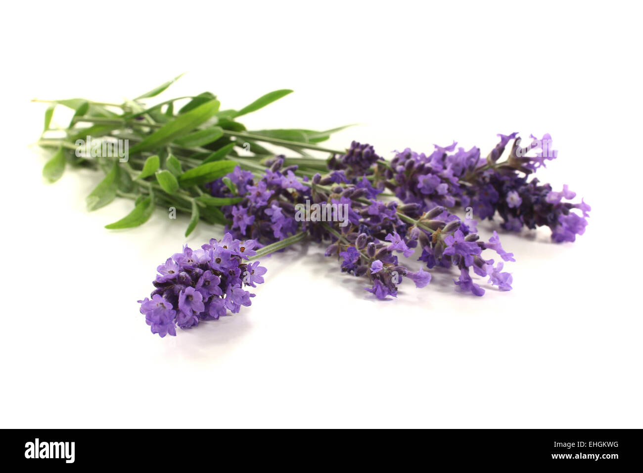 Lavender strauss hi-res stock photography and images - Alamy