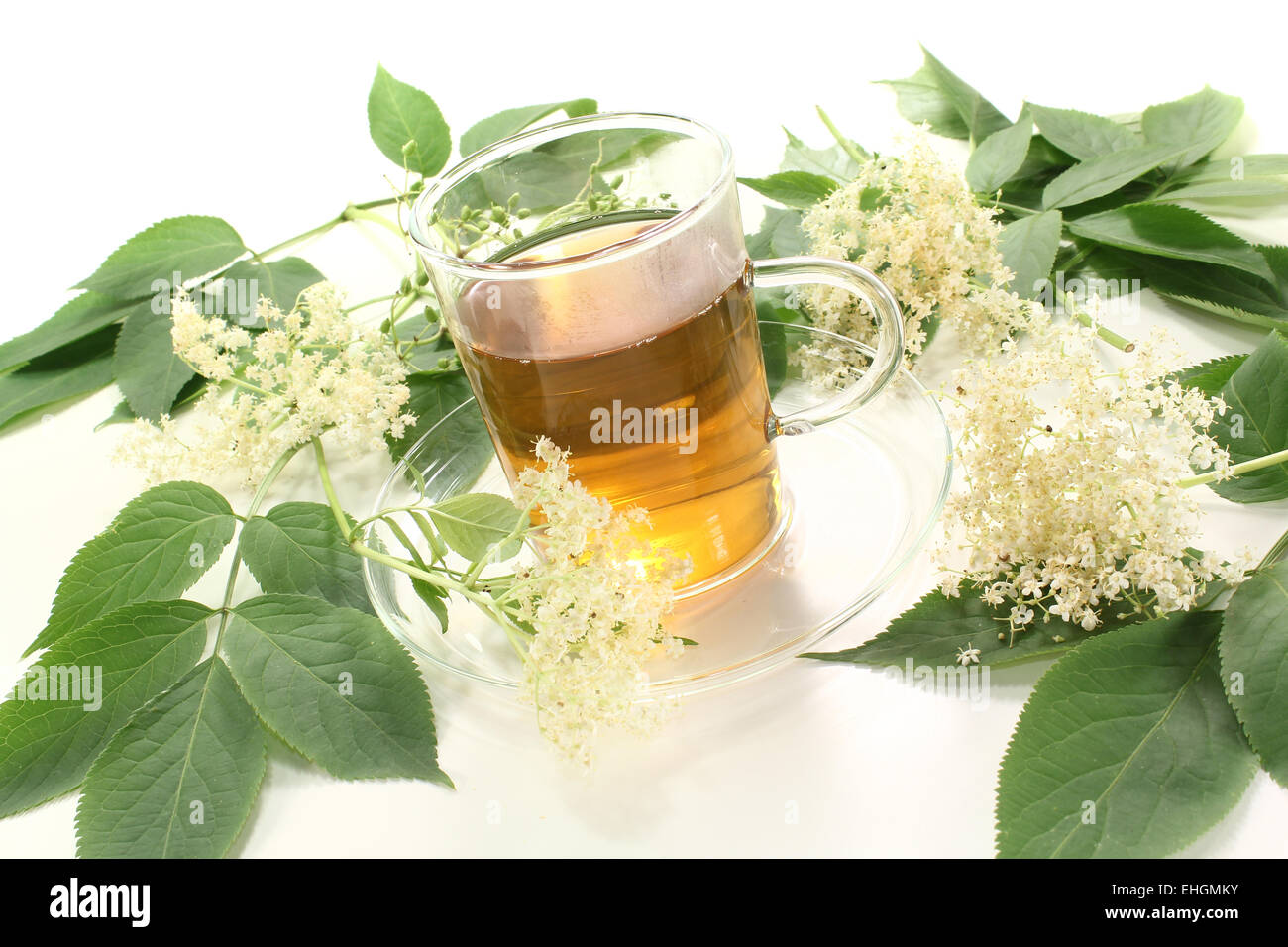 Elderflower tea hi-res stock photography and images - Alamy