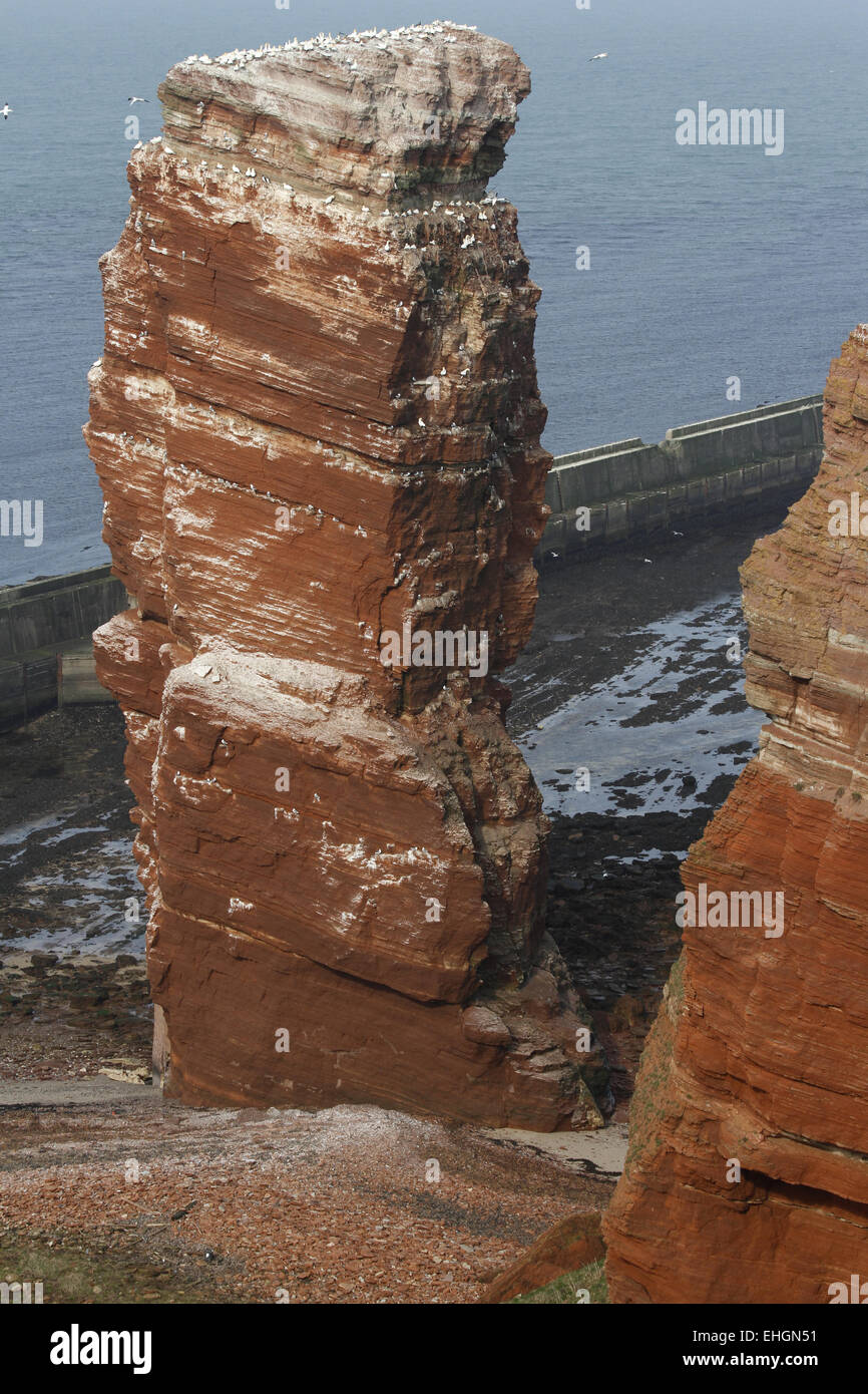 Tall anna hi-res stock photography and images - Alamy