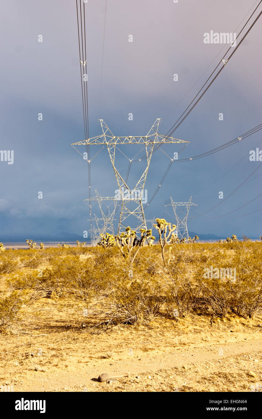 The march through the desert hi-res stock photography and images - Alamy