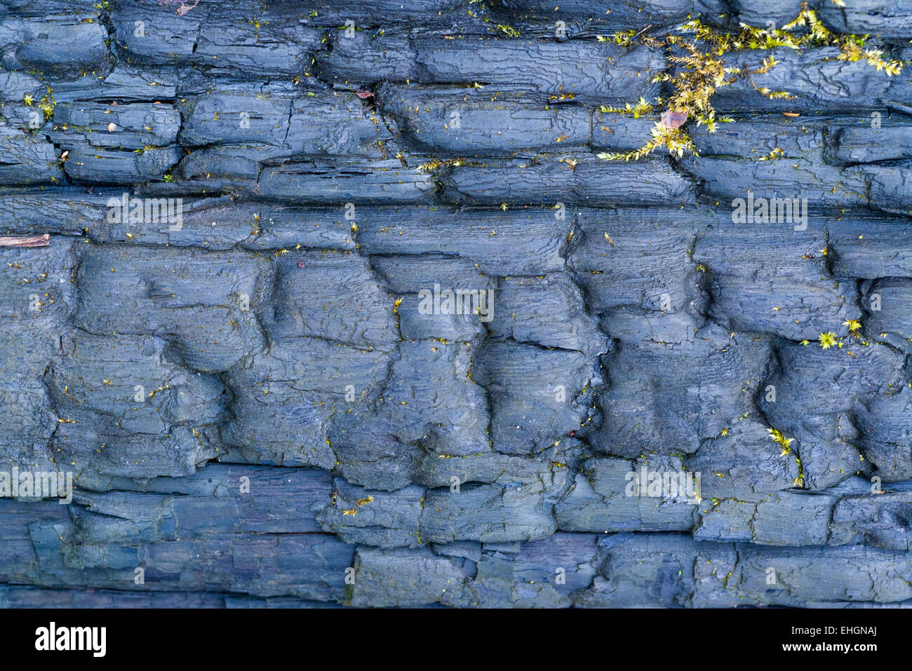 Burnt cracked wood texture Stock Photo - Alamy