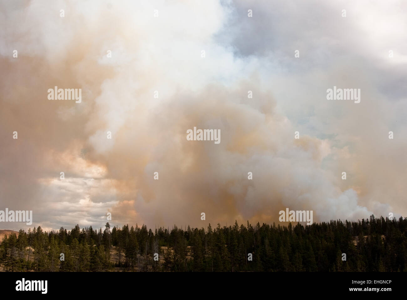 Yellowstone smoke hi-res stock photography and images - Alamy