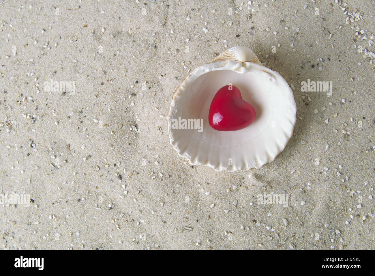 Mussel symbol hi-res stock photography and images - Alamy