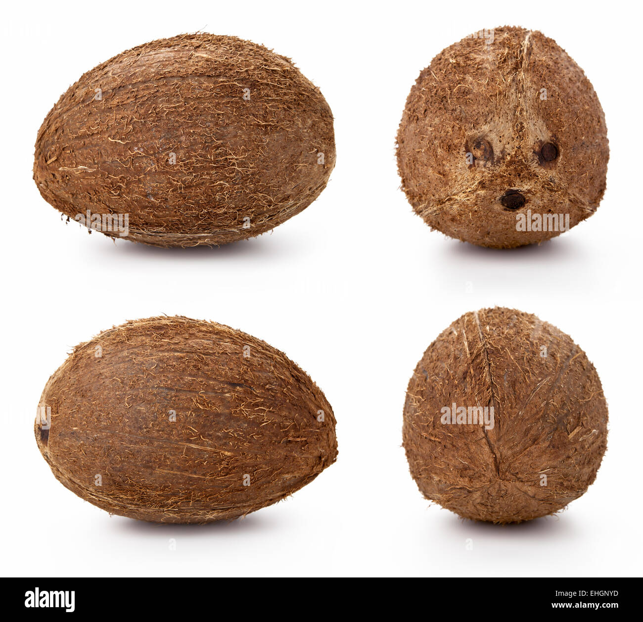 Coconut palm fiber hi-res stock photography and images - Alamy