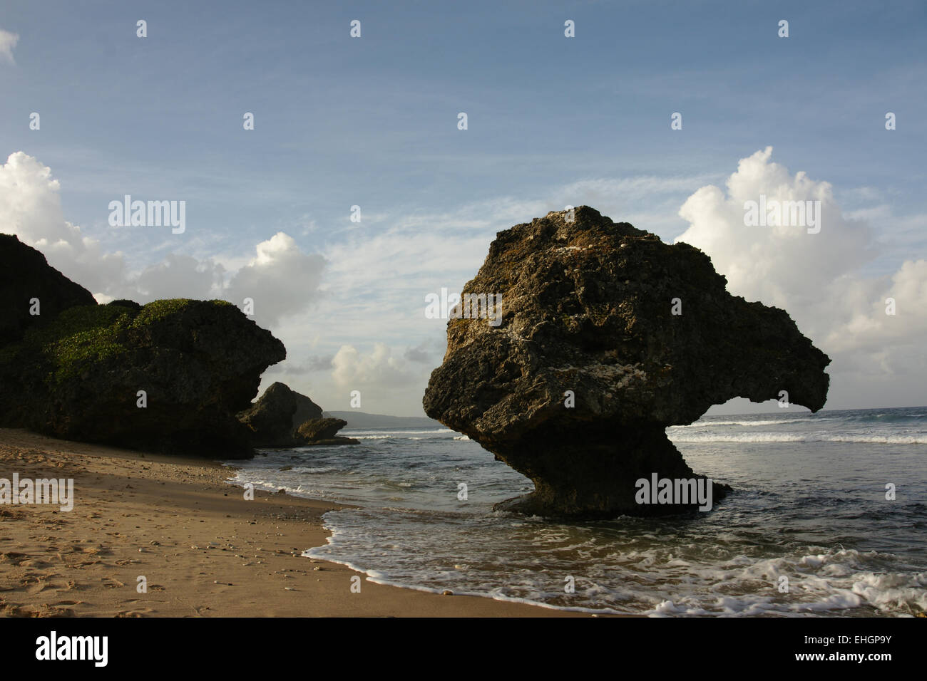 Coastal erosion barbados hi-res stock photography and images - Alamy
