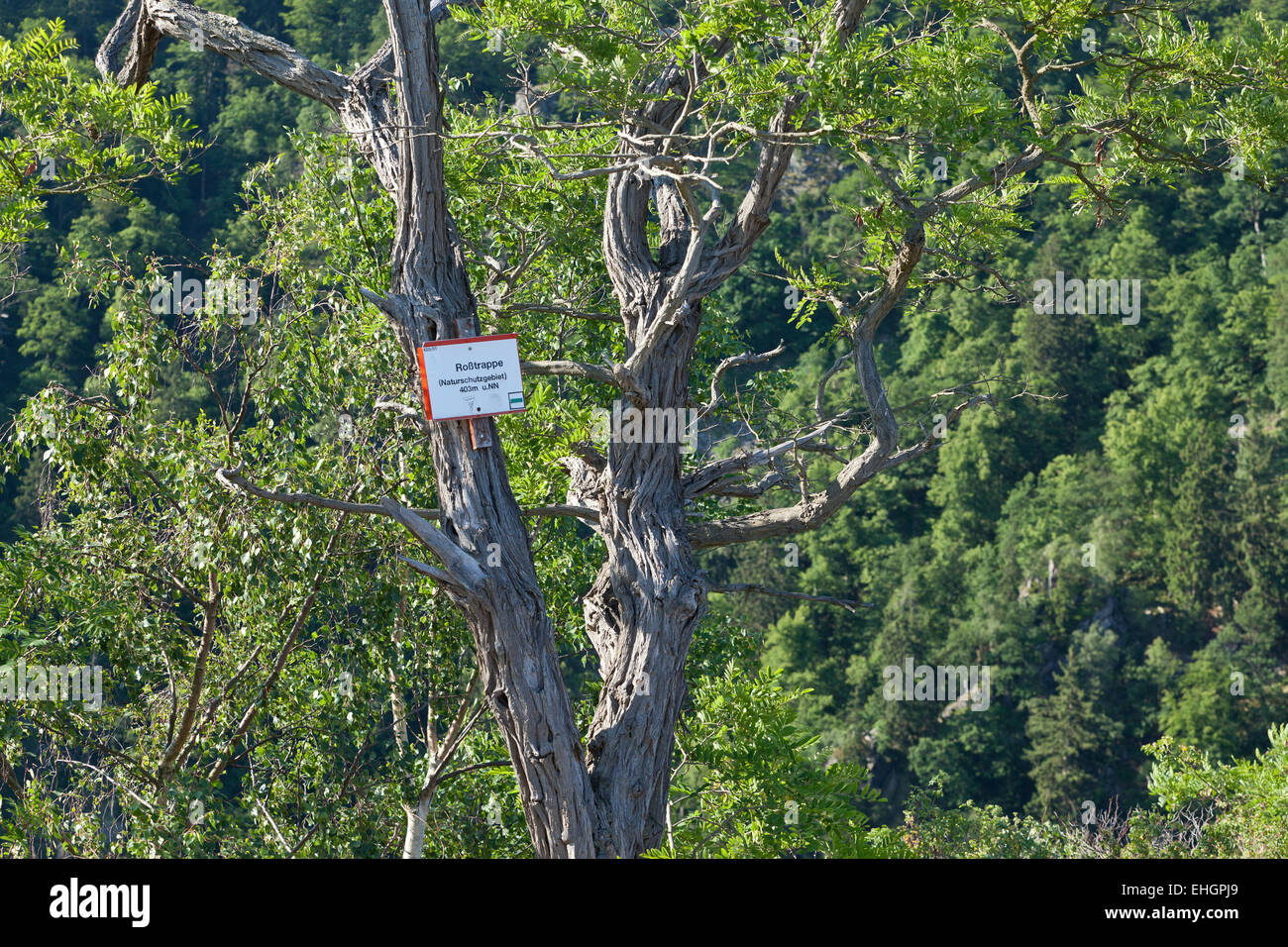 view in the bode vallay Stock Photo - Alamy