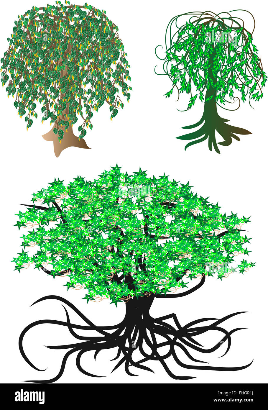 fantastic trees Stock Photo - Alamy