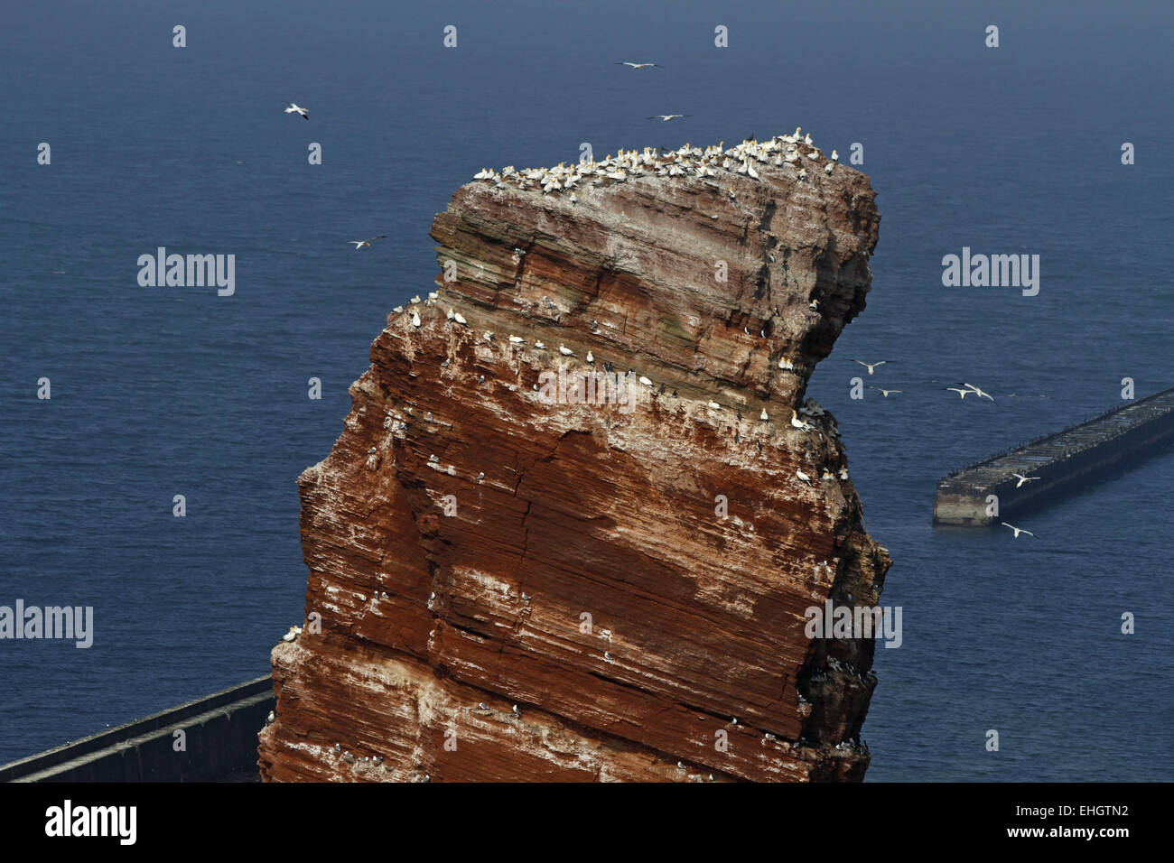 The long anna hi-res stock photography and images - Alamy