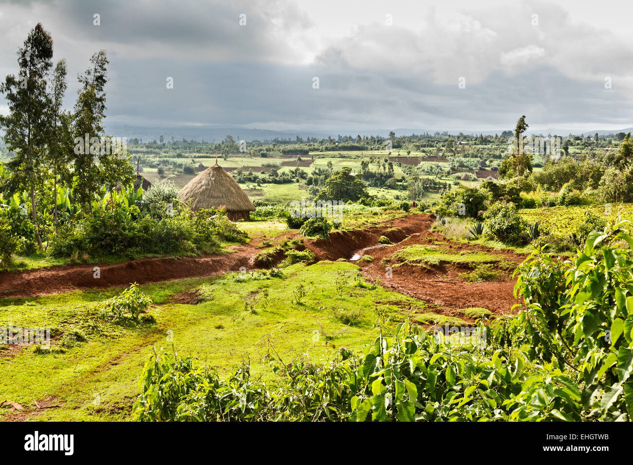 Ethiopian country village hi-res stock photography and images - Alamy