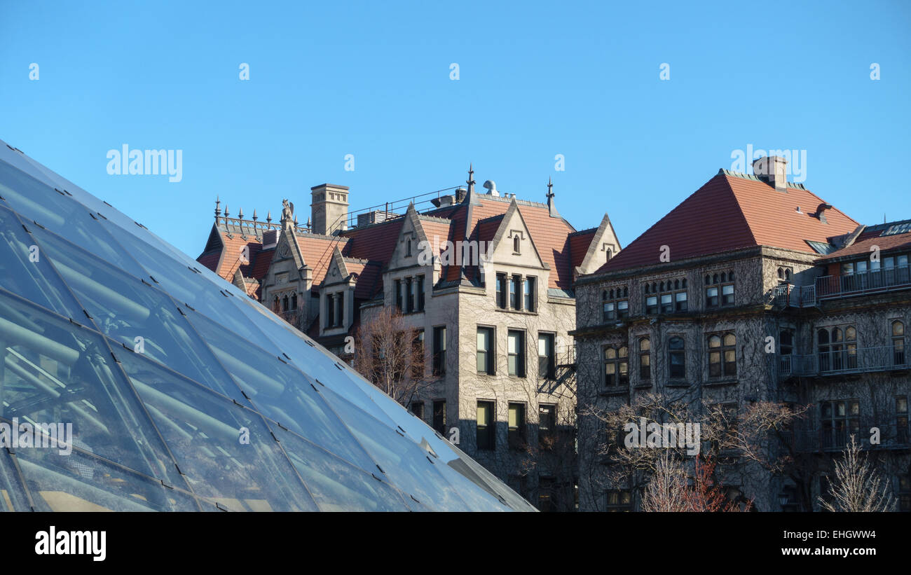 CHICAGO, IL, USA - MARCH 12, 2015: Glass roof of the Mansueto library ...