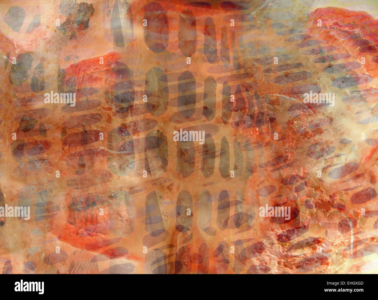 Abstract organic texture hi-res stock photography and images - Alamy