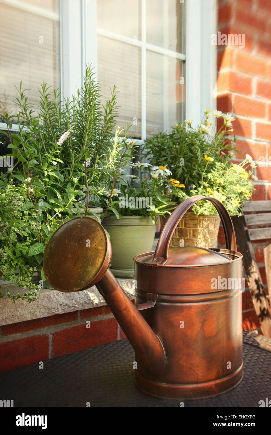 Flower arrangement on window ledge hi-res stock photography and images ...